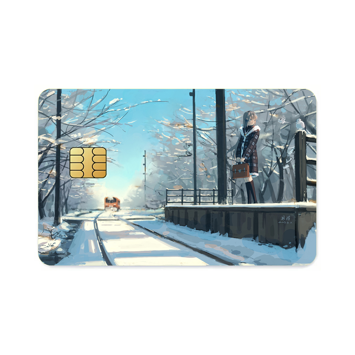 Winter Credit Card Skins (4-in-1 Pack)